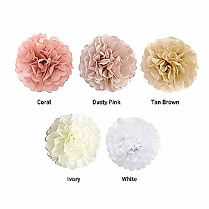 ANSOMO Boho Rainbow Tissue Paper Pom Poms Party Decorations Flowers Wall Hanging Décor Supplies 1st Birthday Bridal Baby Shower Cream Dusty Pink Centerpieces 12 Pcs