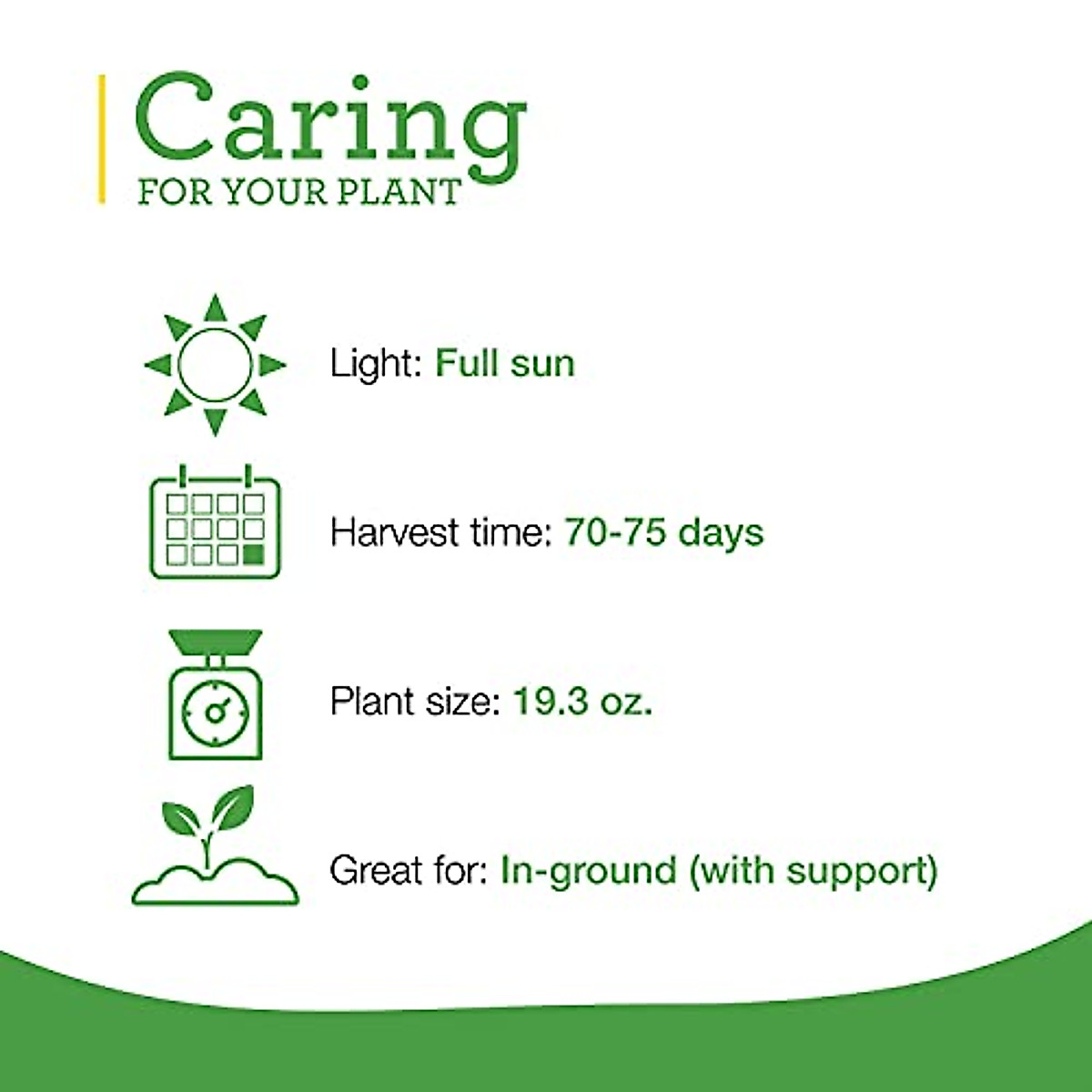 Bonnie Plants Better Boy Tomato: 4 Pack Live Vegetable Plants, Disease Resistant, Large 16 oz Fruit Size, Non-GMO, Red