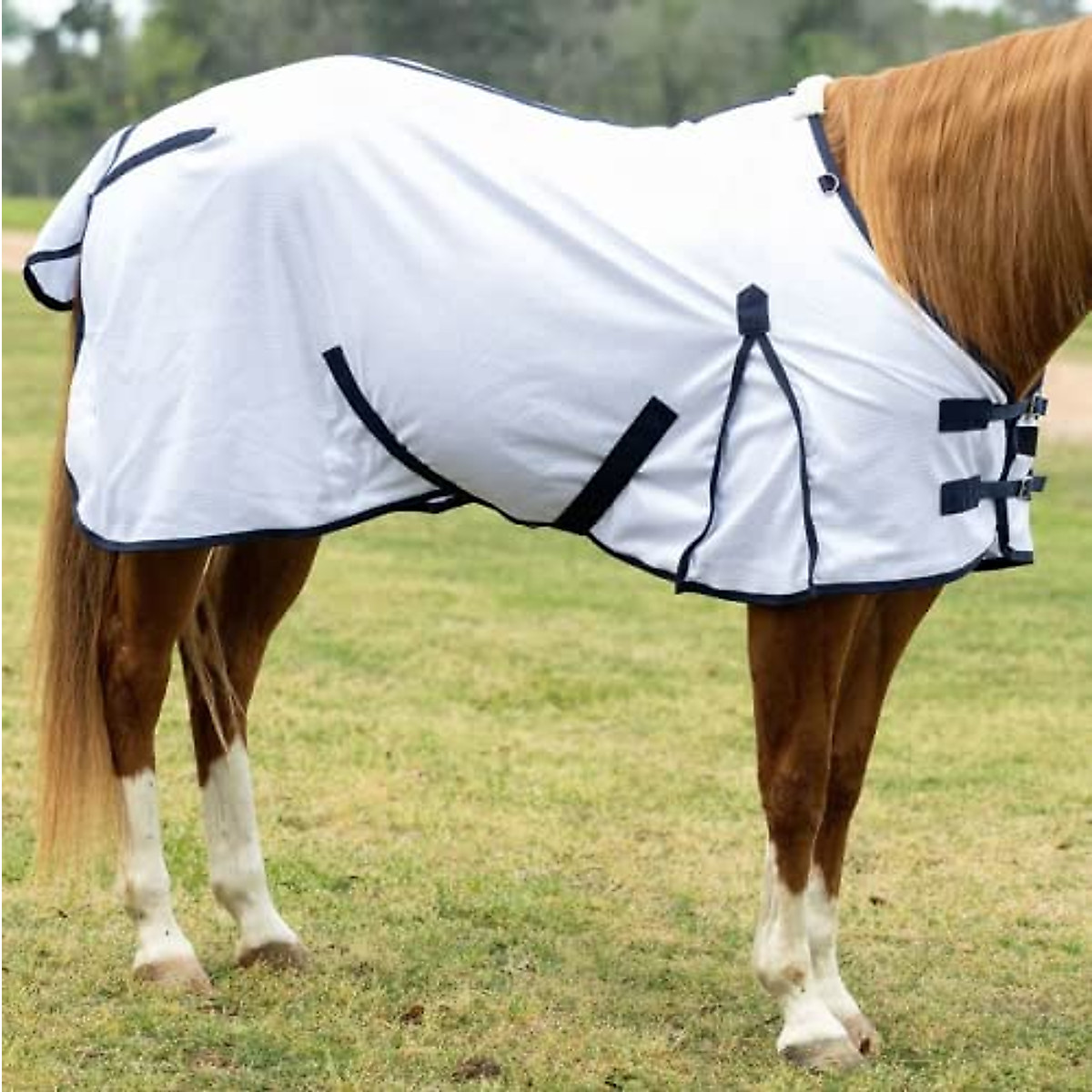Tack Shack of Ocala- Reinsman Circle Y Breathable Mesh Fly Sheet, Fly Sheet for Horses, Mesh Fly Sheet, Fly Sheet, Breathable Comfy Fly Sheet (75)