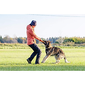 PlayfulSpirit Durable Natural Rubber Ring - Great Tug of War Dog Toy, Fun for Throw, Chase and Fetch Games, Exercise and Dog Training Toy for Medium to Large Breed Puppies and Adult Dogs (L, Orange)