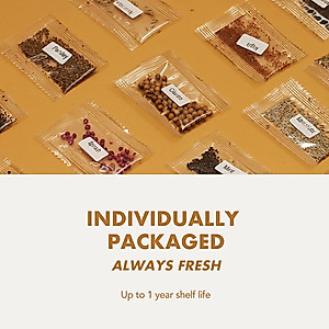 Herb Hydroponic Seeds for aerogarden Hydroponics Growing System, 3-Pod (350+ Seeds Include Basil, Parsley, Oregano, Thyme, Mint, Cilantro, and Dill)