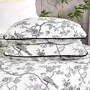 EVENHUG Quilted Pillow Shams Set of 2 Black Bird Pillow Covers Floral Pillowcases Matching Bedding Decoration (20" X 36")