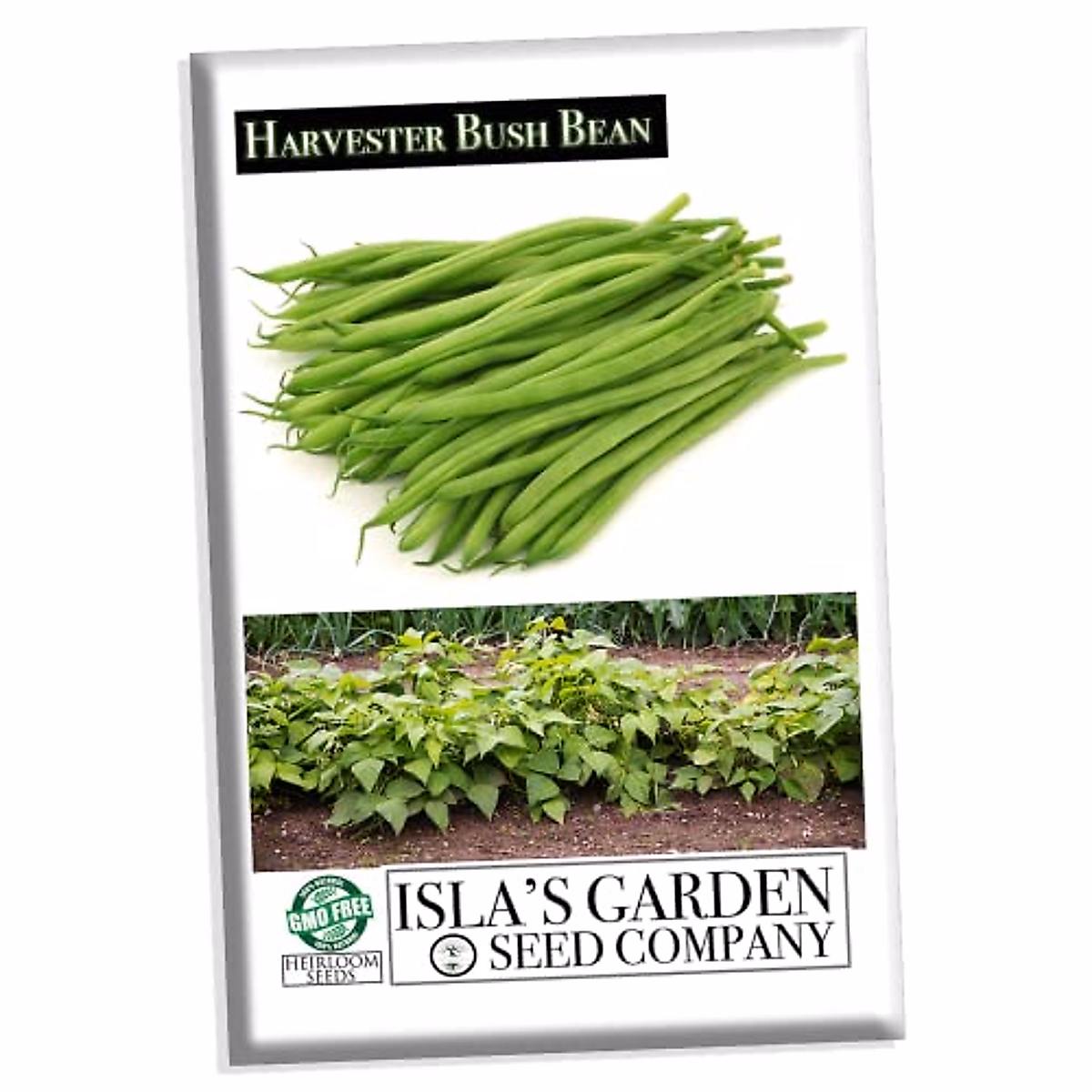 "Harvester" Bush Bean Seeds for Planting, 50+ Heirloom Seeds Per Packet, (Isla's Garden Seeds), Non GMO Seeds, Botanical Name: Phaseolus vulgaris, Great Home Garden Gift