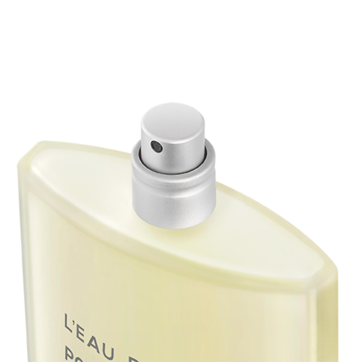 Issey Miyake L'eau D'issey Eau de Toilette Spray for Men, 4.2 Fl Oz