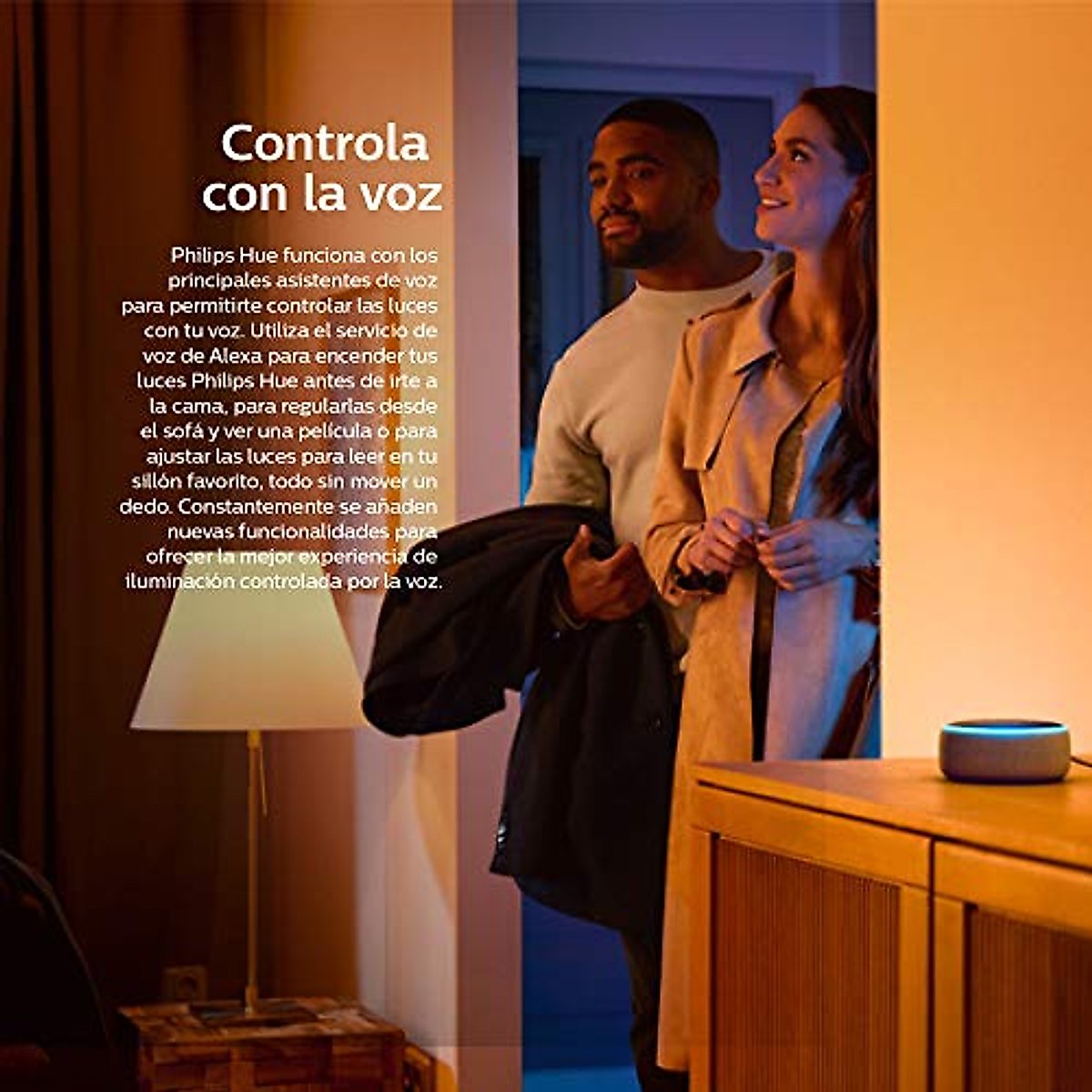 PHILIPS Hue Go White and Color Portable Dimmable LED Smart Light Table Lamp (Requires Hue Hub, Works with Alexa, HomeKit and Google Assistant), White