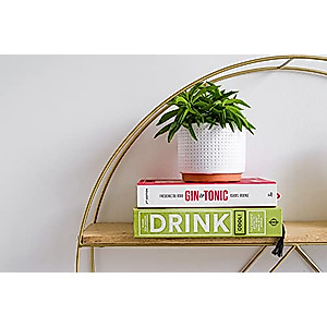 kimisty Gold Round Wall Shelves, Large Circular Floating Shelf for Bathroom, Living Room, Kitchen and Bedroom, Brass Geometric Wall Decor, Metal Sconce Shelf with Mango Wood, Boho Accent Display