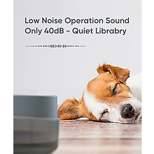 Loomla Dog Water Fountain, 135oz/4L Dog Water Bowl Dispenser and Cat Water Fountain, Automatic Pet Water Fountain for Small to Medium Dogs, Cats & Other Pets (Grey)