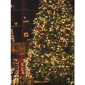 Twinkle Star Outdoor Christmas Lights Battery Operated 50 LED Mini String Light with 8 Modes, 16ft Waterproof Fairy Lights for Garden Xmas Tree Wedding Wreath Party Decoration (Warm White, 2 Pack)