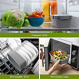 Cherrysea 2Pack Salad Lunch Container, 68oz Salad Bowls with 4 Compartments Tray,Leak Proof Lunch Box with Fork for Men,Women BPA-Free Snack Container with Sauce Container for Dressings-Grey