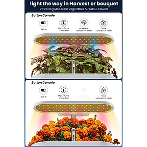 inBloom 12 Pods Hydroponics Growing System Indoor Garden with LED Grow Light and Pod Kit, Plants Germination Kit with 4.2L Water Pump Accelerate, Height Adjustable, Gardening Gifts for Women, White