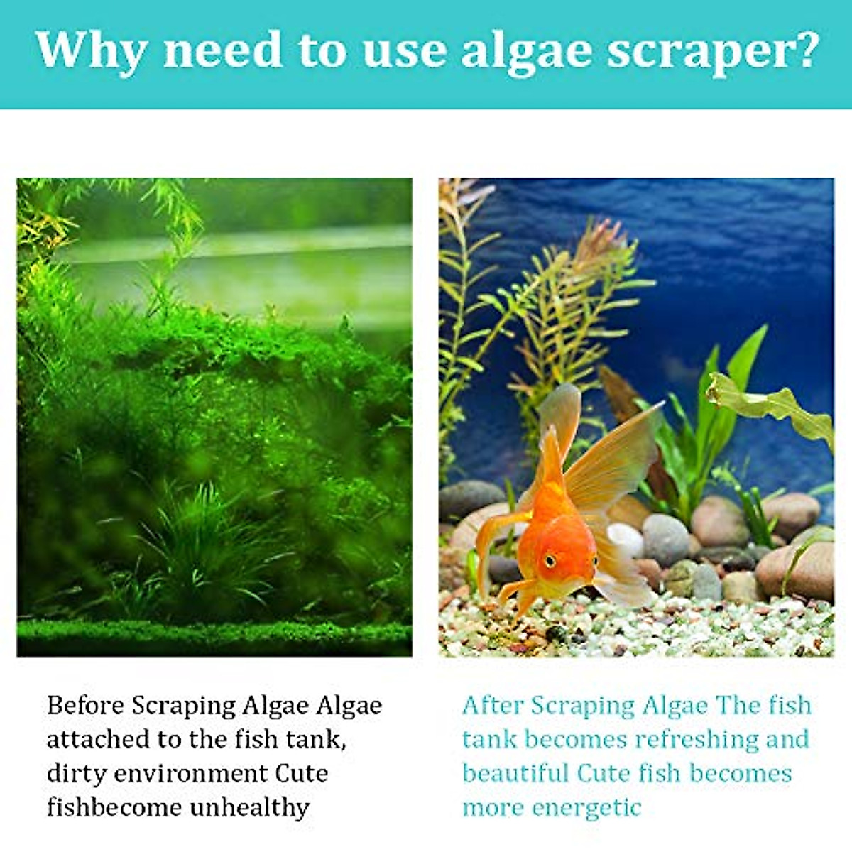 ZRDR Stainless Steel Algae Scraper Aquarium Cleaning Tool for Glass Aquariums, Including Algae Scraper, Sponge Pad, Fish Net, Cleaning Brush, Adjustable Length, Durable, Does Not Hurt The Fish Tank