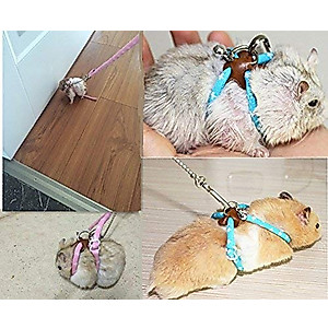 Hypeety Hamster Training Lead Leash Nylon for Hamster Rat Squirrel Gerbil Pet Cage Playhouse Leashes Band Finder Collar Bell (Blue)