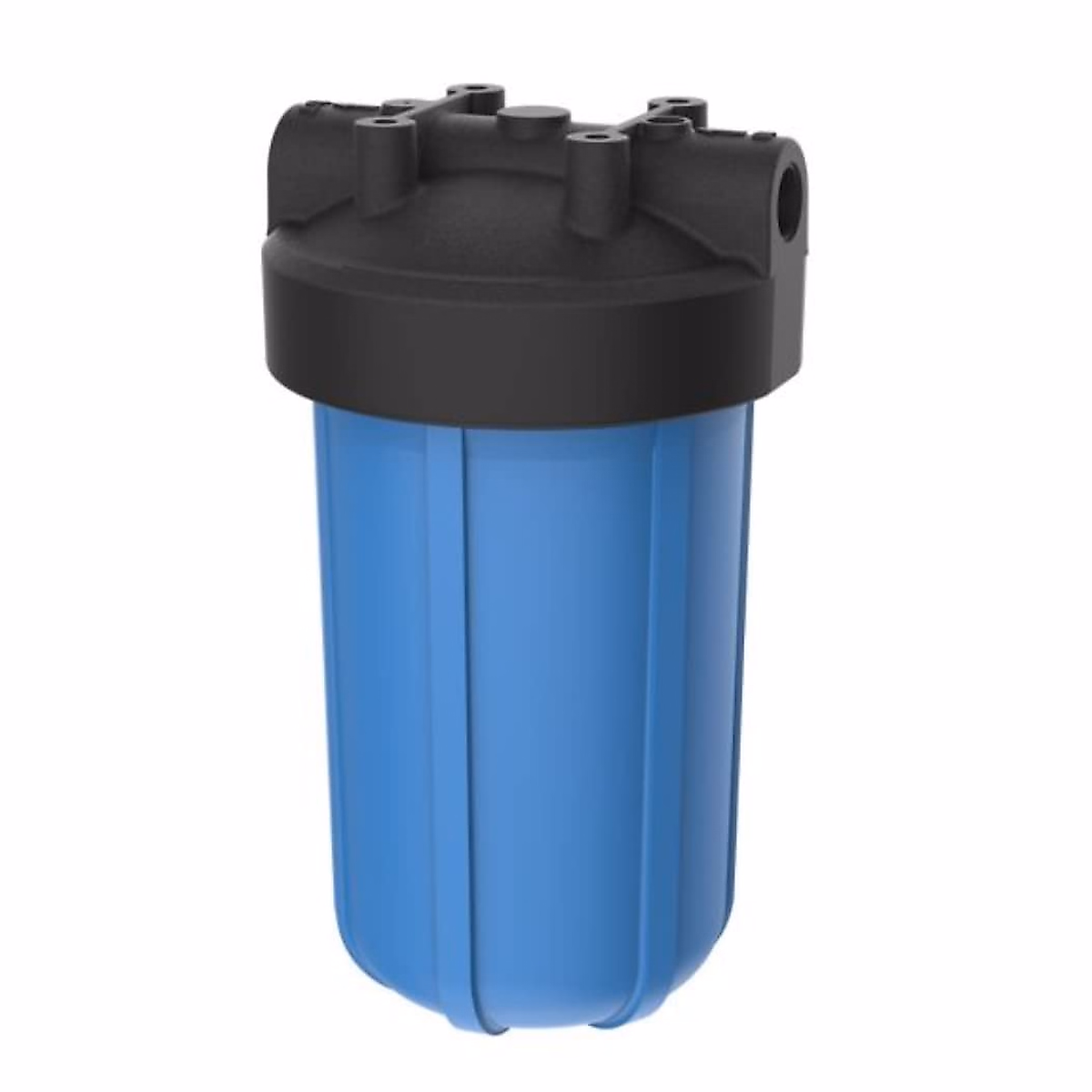 Pentair Pentek 150470 Big Blue Filter Housing, 3/4" NPT #10 Whole House Heavy Duty Water Filter Housing with High-Flow Polypropylene (HFPP) Cap, 10-Inch, Black/Blue