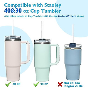 Replacement Straw Compatible with Stanley Quencher H2.0 40&30 oz Cup Tumbler with Handle, 6 Pack Reusable Straws for Stanley Quencher Tumbler,Plastic Straw with cleanning brush for Stanley Accessories