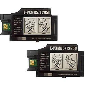 T2950 Maintenance Box T295000 Ink Remanufactured for Workforce WF-100 WF-100W WF 100 WF100 Inkjet Printer. 2 Pack