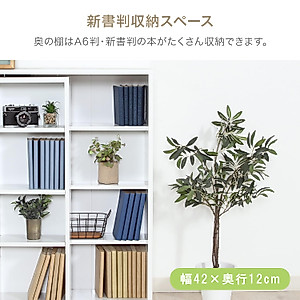 Fuji Boeki 86031 Bookcase, Double Slide Rack, Width 35.0 x Depth 11.4 x Height 35.0 inches (89 x 29 x 89 cm), White, Large Capacity, Comics, Storage