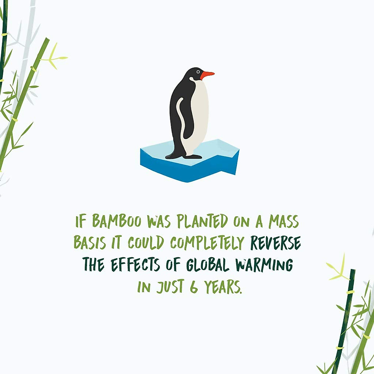 NooTrees Bamboo Toilet Tissue, Tree Free, Biodegradable, Sustainable, Renewable and FSC Certified 3-ply Toilet Paper 300 Sheets, 4 Rolls, 1-Pack