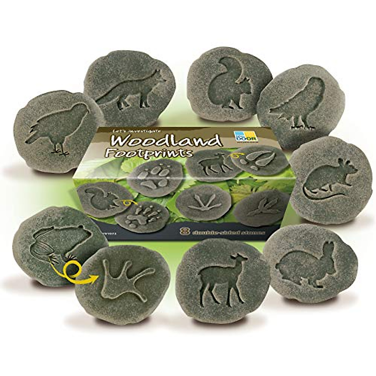 Yellow Door Let’s Investigate Woodland Footprints Double Sided Stones with Animal Tracks and Animal Picture, Create Fun Animal Games with Fossil Set, Stone, Set of 8, Toddler Toys for 3 Years & Up