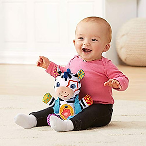 VTech Lights and Stripes Zebra