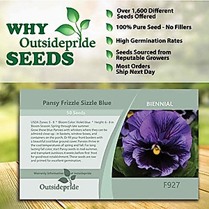 Outsidepride Viola Pansy Frizzle Sizzle Blue Indoor House Plant Or Outdoor Garden Flower for Beds, Borders Pots, & Containers - 50 Seeds