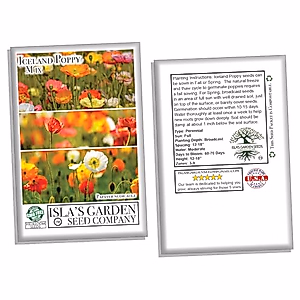 Iceland Poppy Seeds Flower Mix, 3000 Heirloom Flower Seeds Per Packet, Non GMO Seeds, Botanical Name: Papaver nudicaule, Isla's Garden Seeds