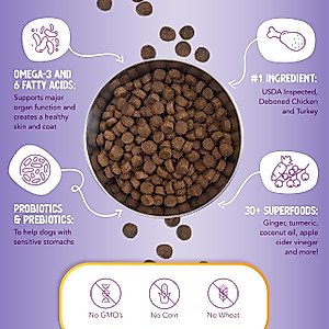 Health Extension Grain Free Chicken & Turkey Dry Dog Food (10 lb / 4.54 kg) - Whole Foods Ingredients Formula with a Blend of Turmeric & Antioxidants for All Life Stages Dogs