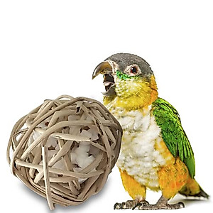 SunGrow Popcorn Ball for Birds, Willow Wicker Vine Rattan Ball, Cage Accessory Hang with String or Wire