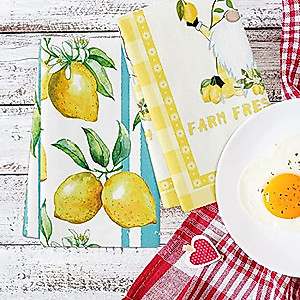 HADEEONG Summer Time Lemons Dish Towels for Kitchen, 16 x 23.6 Inch Fast Drying Absorbent Tea Towels Dishcloths, Seasonal Hand Towels for Daily Kitchen Home Cleaning Baking Set of 4