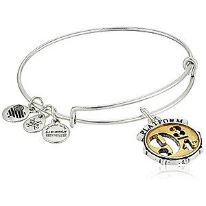 Alex and Ani Harry Potter Platform Two Tone Bangle Bracelet