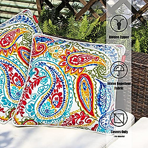 Pcinfuns Outdoor Lumbar Pillow Covers,Patio Garden Decorative Pillow Cover,Fade-Resistant Pillowcase 12x20 Inch for Outdoor Home Patio Coach Sofa,Paisley Multi,Pack of 2
