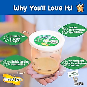Insect Lore - Butterfly Growing Kit - Clear Front Facing Viewing Panel - Pre-Paid Voucher to Redeem Caterpillars Later – Life Science & STEM Education – Butterfly Science Kit