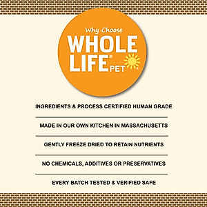 Whole Life Pet Just One Salmon - Cat Treat Or Topper - Human Grade, Freeze Dried, One Ingredient - Protein Rich, Grain Free, Made in The USA