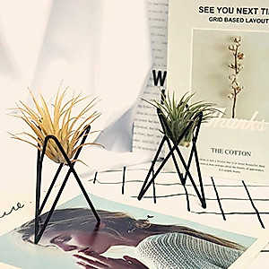 Pack of 4 Air Plant Holder Tillandsia Base, Modern Geometric Metal Air Plant Stand Airplant Display Rack, Tabletop Big Streptophylla Plant Display Table Hand for Home Office Decoration Supplies