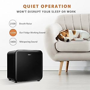 COSTWAY Compact Refrigerator, 1.6 cu ft. Single Door Small Fridge with Adjustable Temperature 32℉ to 50℉, Auto Defrost, Reversible Door, Removable Glass Shelves, Mini Fridge for Bedroom, Apartment (Black)