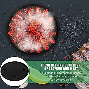 Cabilock Japanese Dry ice Sushi Plate Sushi Serving Plates Sushi Geta Serving Platter Food Service Plate Cuisine Vegetable Tray Dry Ice Food Serving Dish Japanese Sushi Plate Platter Sushi Dish