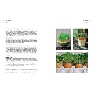 Microgreens: How to Grow Nature's Own Superfood