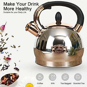Stainless Steel Whistling Tea Kettle with Metal Capsulated Bottom for Quick Heat Distribution 2.8 Quart