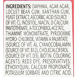 (4 Pack) TetraPond Vacation Food Slow Release Feeder Block, 3.45 Ounce Each