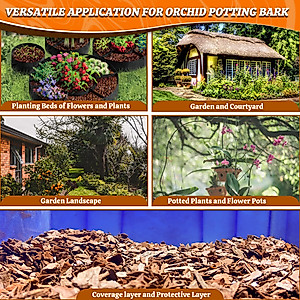 AVALUTION Orchid Potting Bark-3QT Organic Orchid Bark for Plants, All Natural Pine Bark Wood Chips Orchid Bark Potting Mix for Houseplant Mulch, Help Orchid Plants Root Health Development