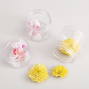 ccHuDE 10 Pcs 30 ml 1 oz Refillable Plastic Jars Small Cosmetic Jars Round Clear Jars Empty Creams Jars Makeup Sample Containers with Lid White