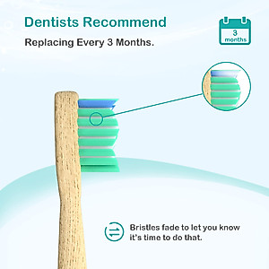 Bamboo Replacement Toothbrush Heads - FSC Certified and PETA Approved, 4 Count (Fits Most Philips Electric Toothbrushes)