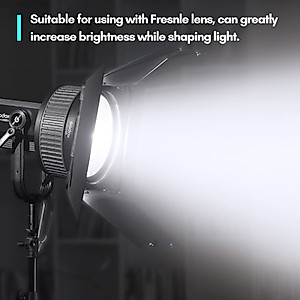 GODOX LB-02 8 Inch LED Video Light Modifier Barn Door with Bowens Mount for Video Photography Portrait