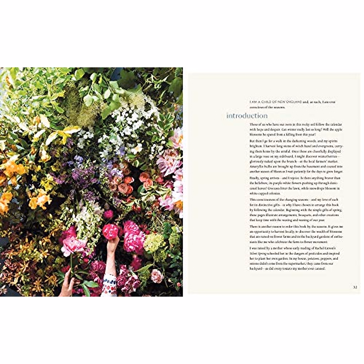 Seasonal Flower Arranging: Fill Your Home with Blooms, Branches, and Foraged Materials All Year Round