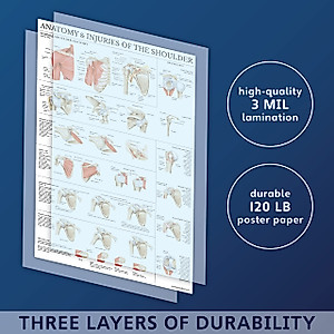 Palace Learning 2 Pack - Anatomy and Injuries of The Shoulder & Hip Poster Set - Anatomical Chart Set - Laminated 18" x 24"