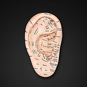 Extraction Tweezers for Hair Acupuncture Ear Seed Auriculotherapy Patch Auricular 300pcs Other Spa Night