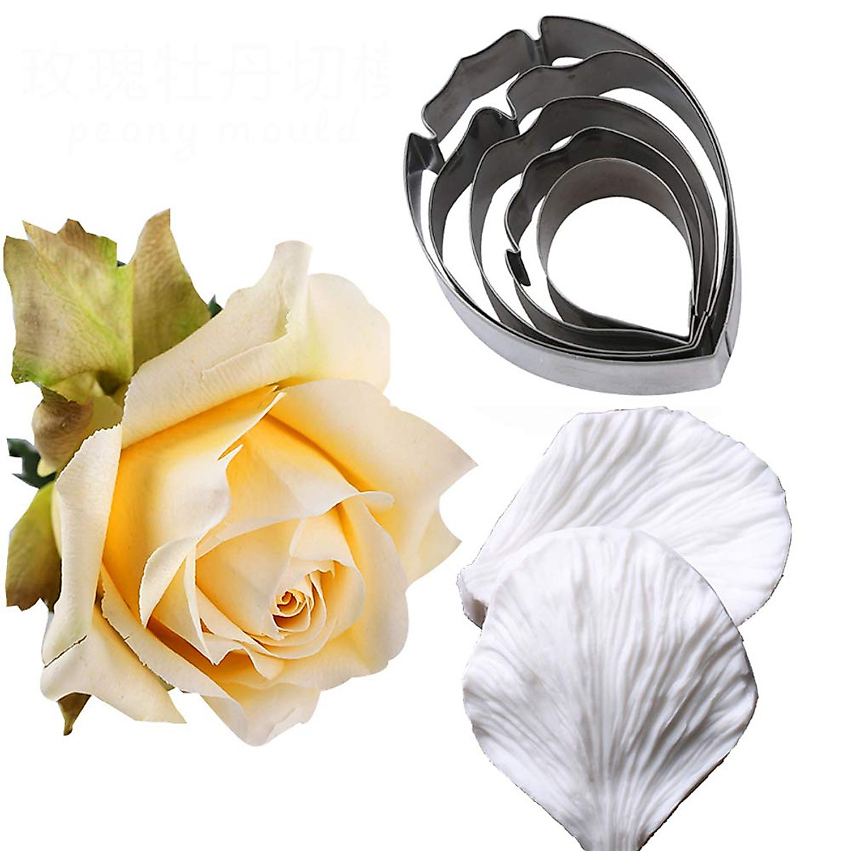 KALAIEN 5pcs Stainless Steel Peony Cutter 2pcs Fondant Silicone Mold Gumpaste Peony Sugarcraft Flower Veining Mold Veiner Petal Making Tool