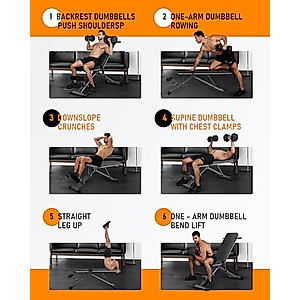BARWING Adjustable Weight Bench 111, 800 LB Heavy Duty Incline Decline Bench for Home Gym, Easy Assembly Foldable Training Lifting Bench