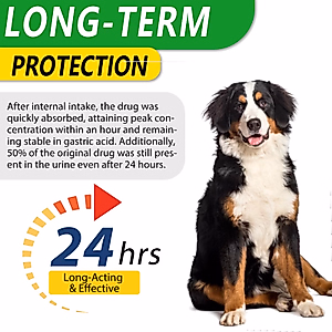 Natural Antibiotics for Dogs - Pet Antibiotic - Healing Aid and Skin Repair for Wounds, Sores, and Abrasions, Helps with Itchy and Irritated Skin - Duck Flavor