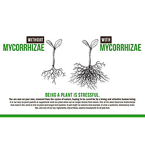 All Purpose Plant Superfood and Fertilizer | Organic Premium Concentrate | Makes 4 Gallons | Easy Use 3oz (1 Shaker)