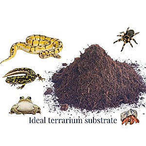 Snout and Shell Organic Coco Coir Peat Bedding Ready to Hydrate Use Substrate for Reptile or Amphibian Perfect for Frogs, Salamanders, Geckos and Snakes Increase Humidity 1.4 Lbs - 650 Grams